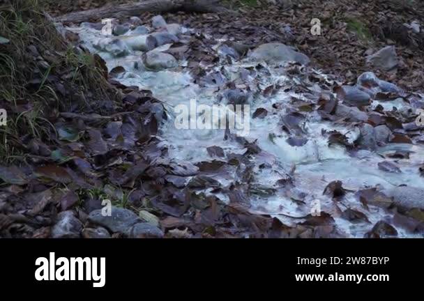 Carbon dioxide springs Stock Videos & Footage - HD and 4K Video Clips ...