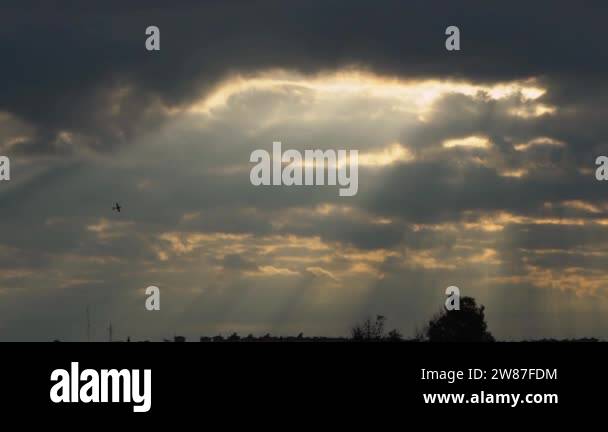 Plane propeller silhouette in flight with cloudy sky at sunset with ...