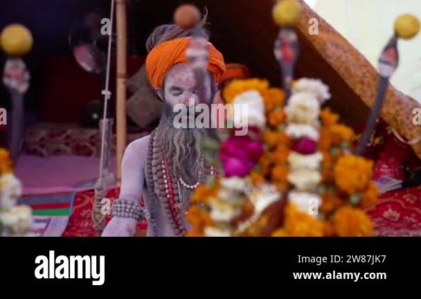 Naga sadhu bath Stock Videos & Footage - HD and 4K Video Clips - Alamy