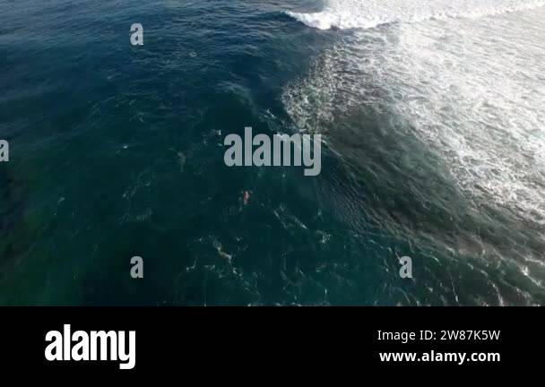 Channel surfer Stock Videos & Footage - HD and 4K Video Clips - Alamy