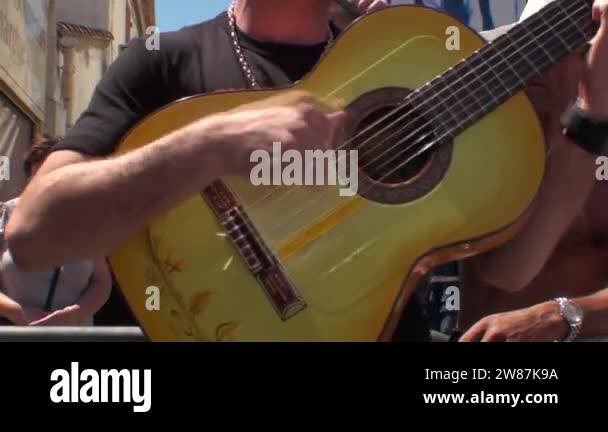 Feast of the Gypsies in the park national of Camargue Stock Video ...