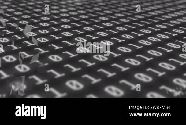 Female Human Body Model And Data Processing Against Binary Coding On