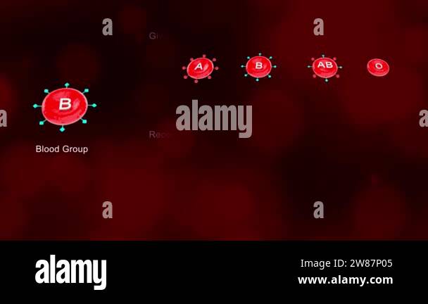 There are 4 main blood groups (types of blood) A, B, AB and O. Your blood group is determined by ...