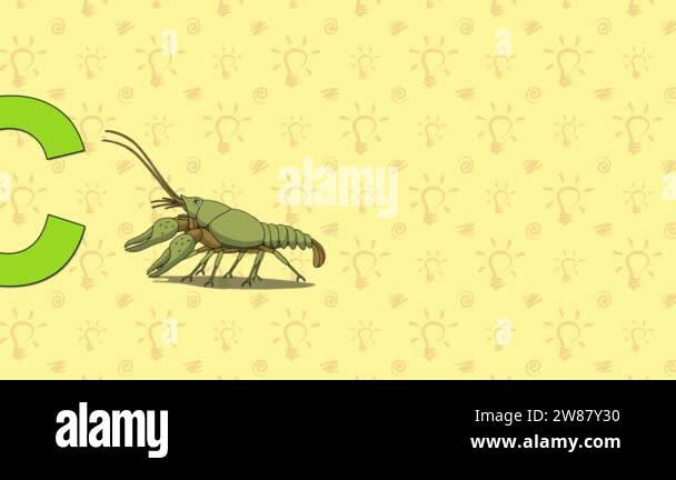 Crayfish. English ZOO Alphabet - letter C Stock Video Footage - Alamy