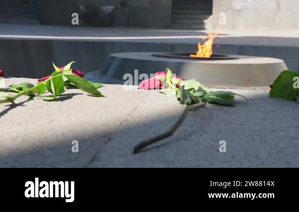 An eternal rose Stock Videos & Footage - HD and 4K Video Clips - Alamy