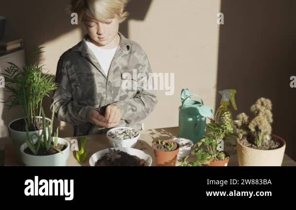 Boy planting a flower in a pot. Child transplanting indoor plants ...