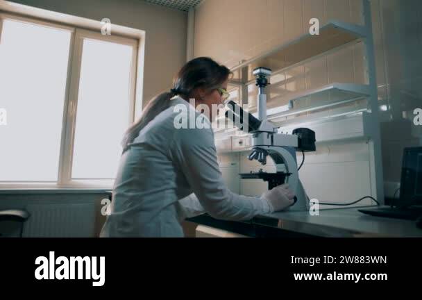 Scanning electron microscope test Stock Videos & Footage - HD and 4K ...