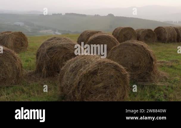 Grass Baled Stock Videos And Footage Hd And 4k Video Clips Alamy