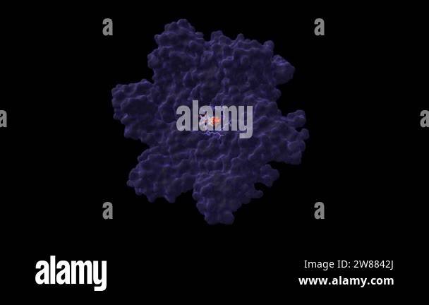 HIV 1 gag polyprotein hexamer complexed with antiviral drug, AZT. Animated 3D cartoon and ...