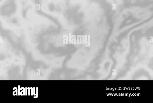 Live microorganisms under a microscope in 3D. Studying the life of ...