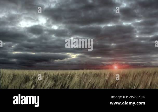The antonov An-2 bi-plane fly in bad weather. Old white retro plane ...