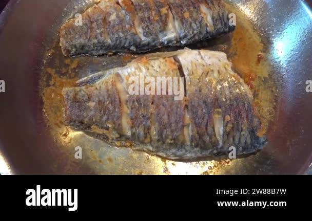 Tail fried fish Stock Videos & Footage - HD and 4K Video Clips - Alamy