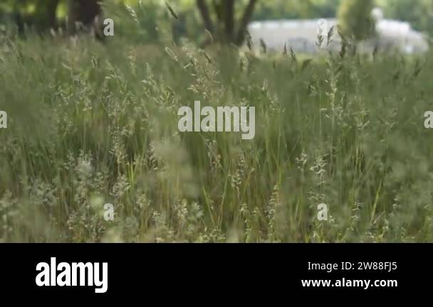 Pen Ryn Estate is home to the waterfront events of Pen Ryn Mansion ...