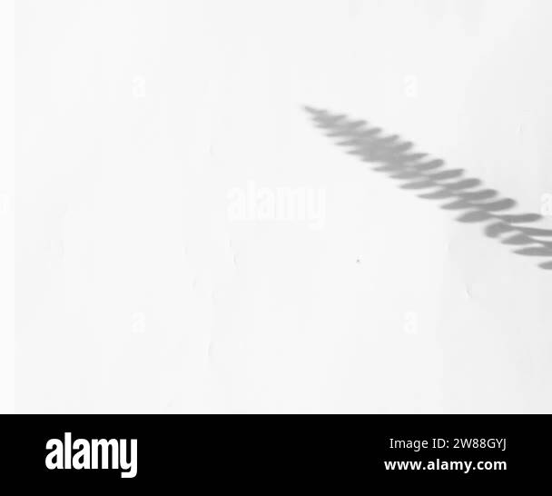 leaf animation swaying by the wind. realistic overlay effect of nature ...