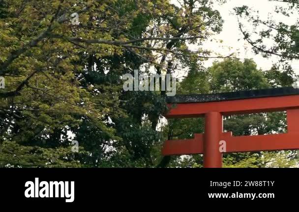 Beautiful red tori gate at Maruyama of Kyoto. Path with a japanese ...