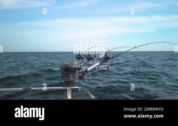Three fishing rods hooked up with spinners, rigged for fishing, with ...