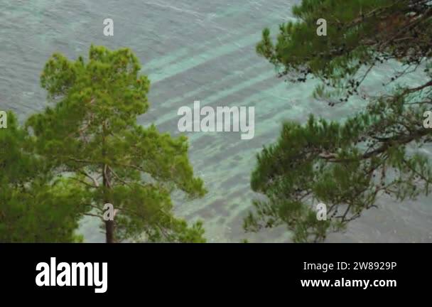 A view of the turquoise sea water from above through the green branches ...