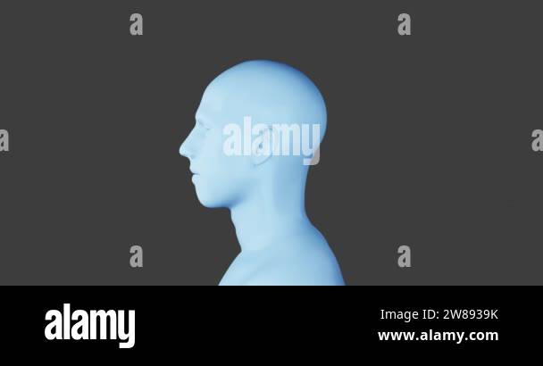 Hemispheres together Stock Videos & Footage - HD and 4K Video Clips - Alamy