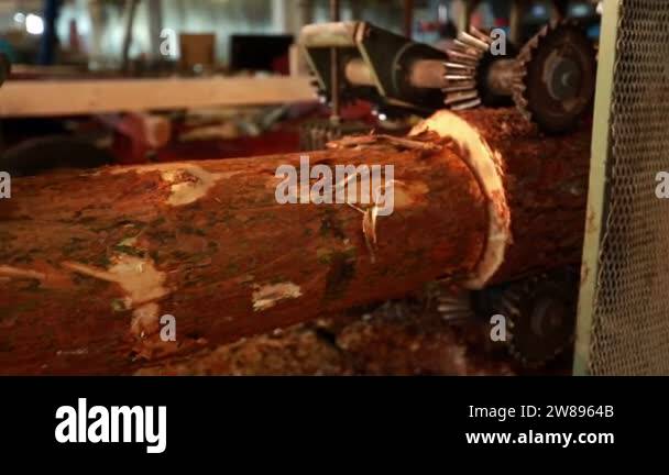 Log moving equipment Stock Videos & Footage - HD and 4K Video Clips - Alamy