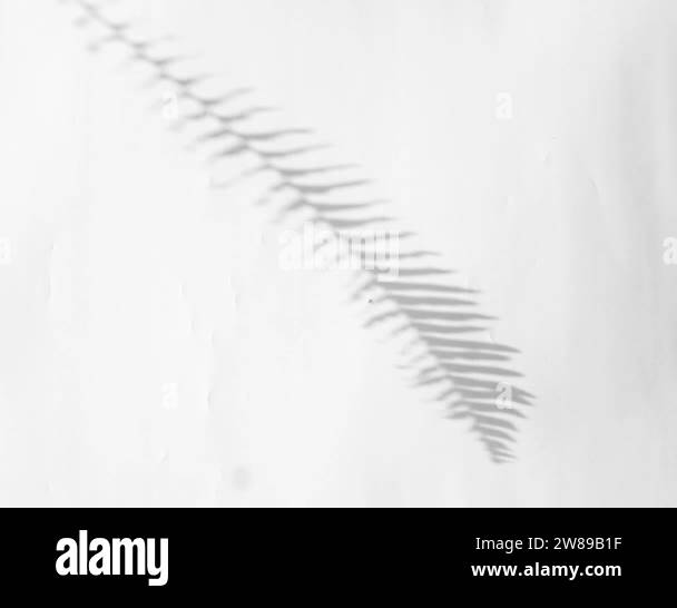 leaf animation swaying by the wind. realistic overlay effect of nature ...