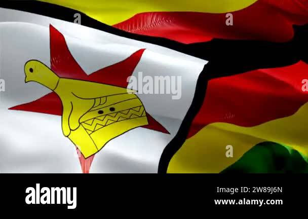 Zimbabwe flag Motion Loop video waving in wind. Realistic Zimbabwean ...
