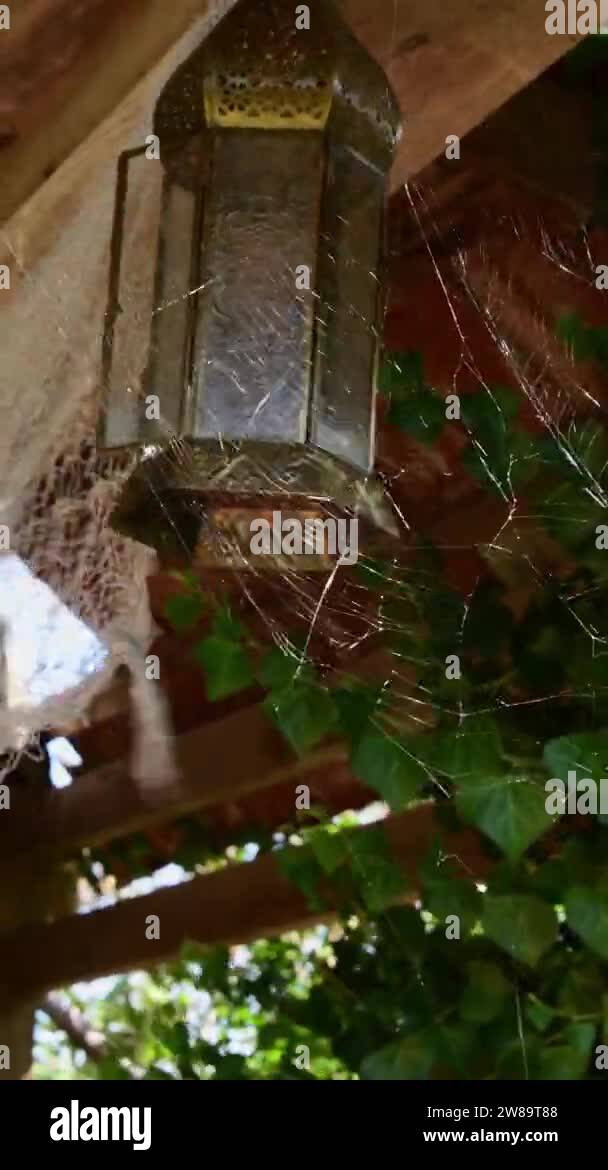 Spider web ceiling Stock Videos & Footage - HD and 4K Video Clips - Alamy