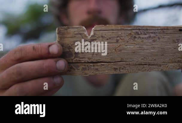 Fireboard Stock Videos & Footage - HD and 4K Video Clips - Alamy