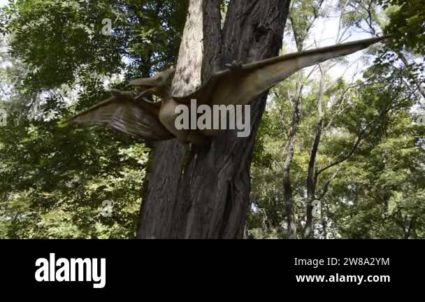 Pterodactylus extinct flying reptile Stock Videos & Footage - HD and 4K ...