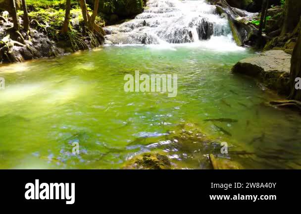 Waterfalls and fish swim in the emerald blue water in Erawan National ...
