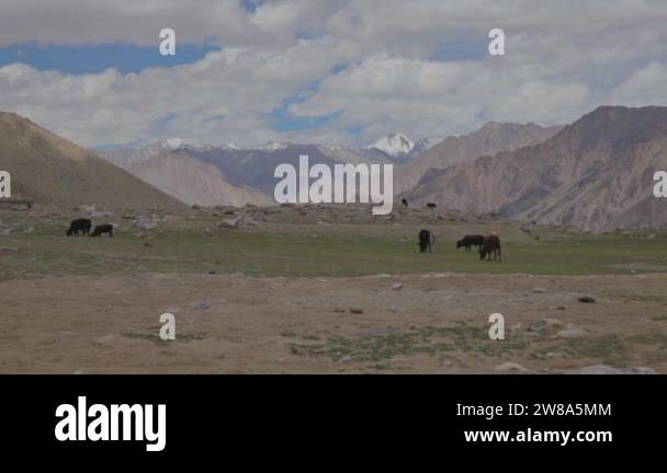 Tibet himalayas plateau Stock Videos & Footage - HD and 4K Video Clips ... Tibet himalayas plateau Stock Videos & Footage - HD and 4K Video Clips ...