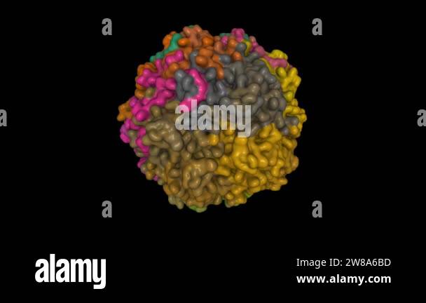 Atomic resolution structure of human bufavirus 1. Animated 3D Gaussian ...