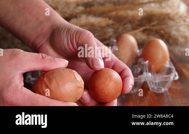 Abnormal chicken egg Stock Videos & Footage - HD and 4K Video Clips - Alamy