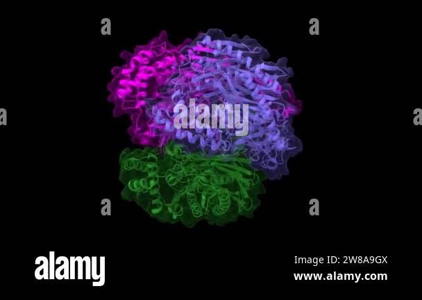 Crystal structure of human polynucleotide phosphorylase, animated 3D ...