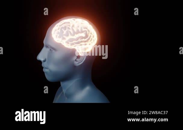 3D stylized animation render transparent silhouette of a person rotates ...