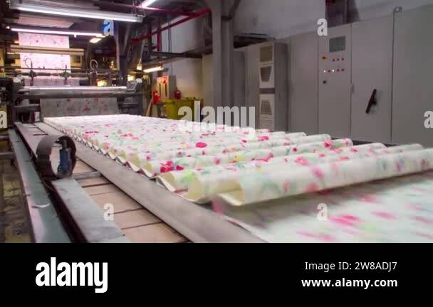 Roll of wallpaper. Conveyor line at wallpaper factory. A roll of ...