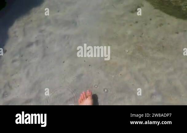 Fantastic beautiful view into water underwater and tropical fish fishes ...