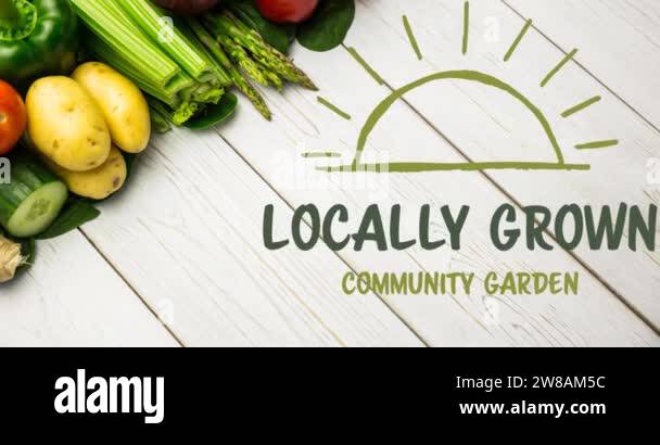 Over grown vegetable garden Stock Videos & Footage - HD and 4K Video ...
