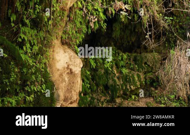 Blowing rocks nature reserve Stock Videos & Footage - HD and 4K Video ...
