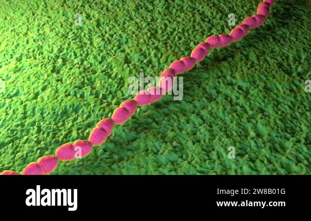 Bacterium illustration Stock Videos & Footage - HD and 4K Video Clips ...