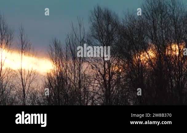 Sunrise over the trees and time new of the rising sun in the sky. Soft ...