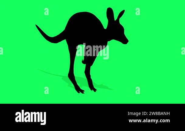 3D animation - silhouette of Kangaroo on green screen ,chroma key Stock ...