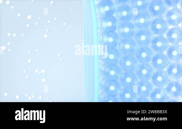 Skin cells Stock Videos & Footage - HD and 4K Video Clips - Alamy