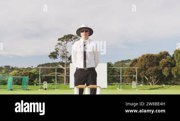 Cricket umpire hand signal Stock Videos & Footage - HD and 4K Video ...