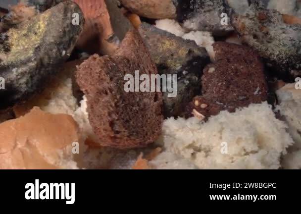 Many slices of stale bread. Dry bread thrown in the trash. Discarded ...