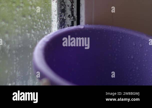 Roof or balcony is leaking due to heavy rain, drops drip into bucket ...