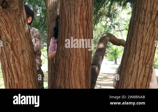 Two girls and a boy is showing behind tree branches and smiling ...
