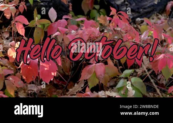 Hello autumn font cartoon Stock Videos & Footage - HD and 4K Video ...