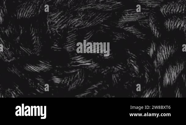 Animation of strange scary halloween shapes on black background. horror ...