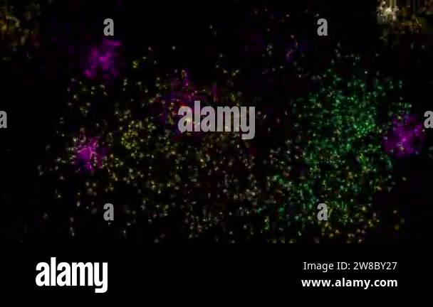 Concept-F1 View of the realistic fireworks in the night sky with random ...