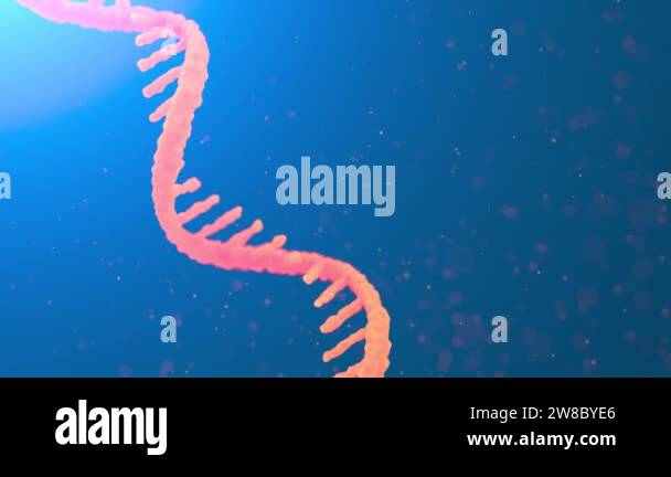mRNA strand rotates on orange backdrop with flying debrises. mRNA ...